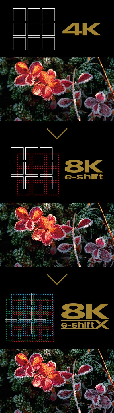 DLA-V800R | プロジェクター | Victor