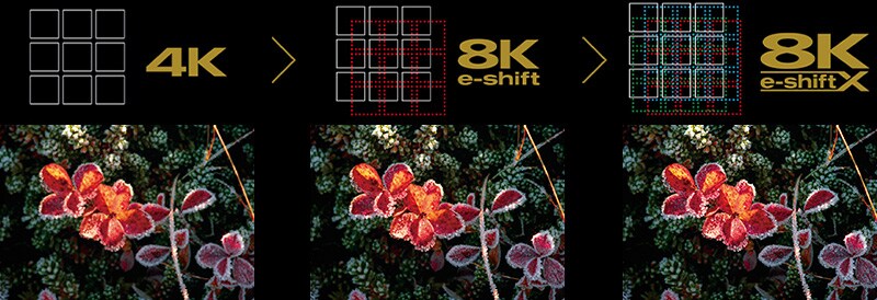 DLA-V800R | プロジェクター | Victor